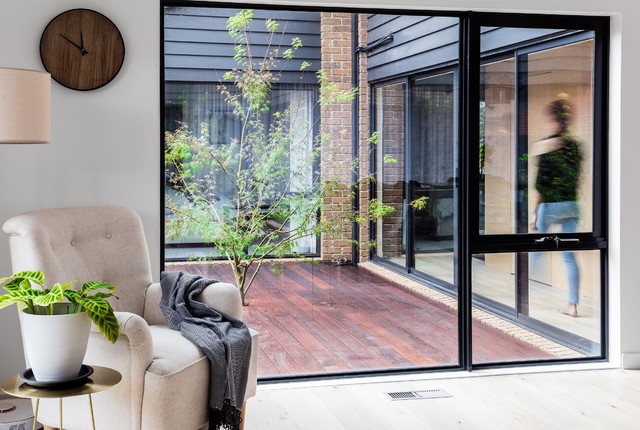 Central courtyard / light court with Japanese maple - Moderno ...