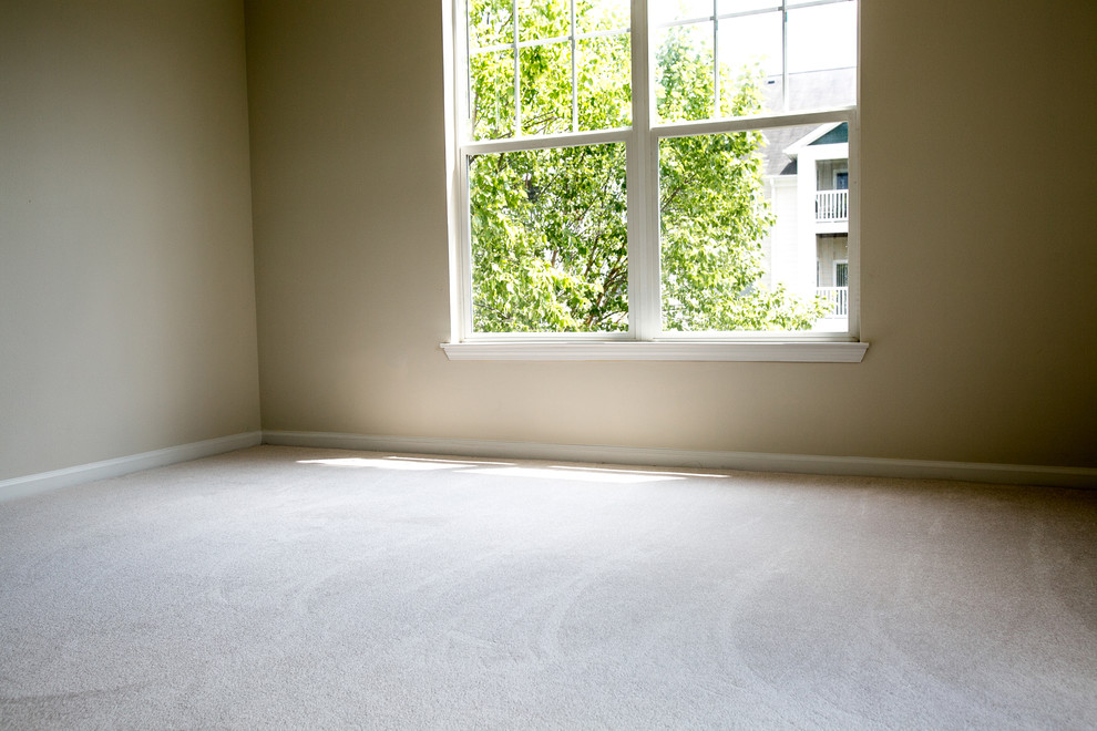 60oz Textured Cut Pile Plush - Traditional - Living Room - Other - by ...