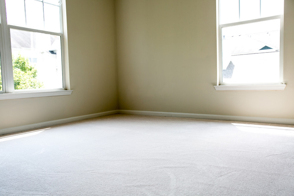 60oz Textured Cut Pile Plush - Traditional - Living Room - Other - by ...