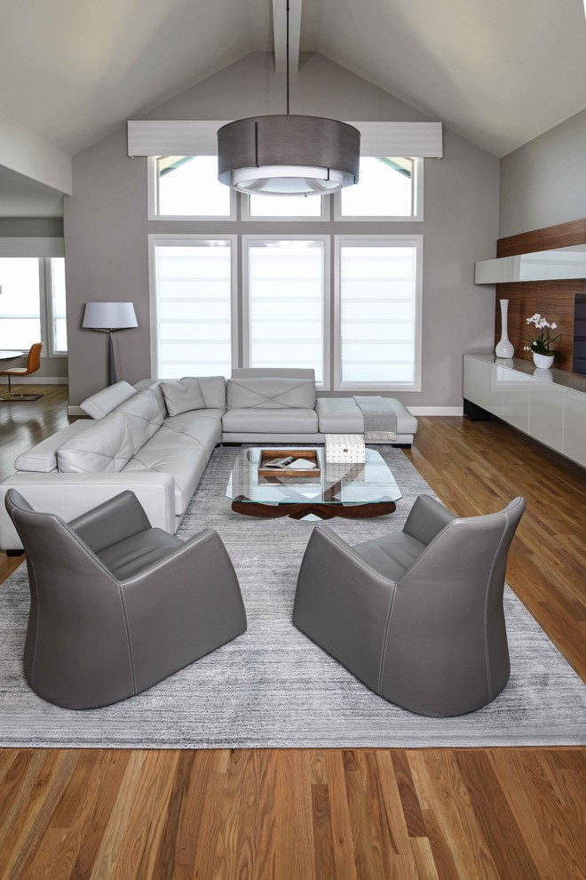 A New Build Gets a Modern Makeover - Contemporary - Living Room ...