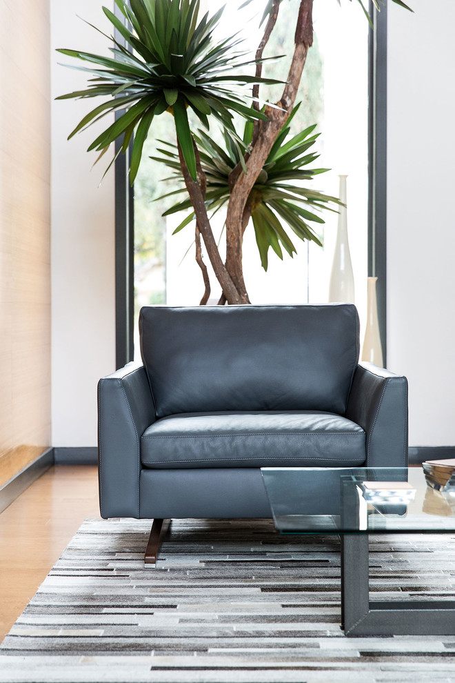 A Texas Contemporary - Modern - Living Room - Dallas - by Cantoni ...