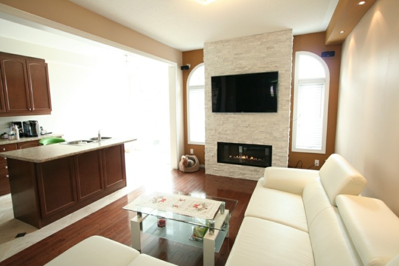 Additional Work - Modern - Living Room - Toronto - by BARDO HOME ...