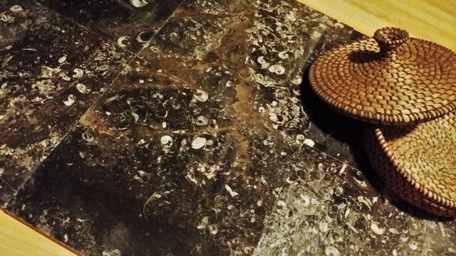 Ancient Seabed Natural Fossil Stone Collection Gray (Hezhra) Tiles ...