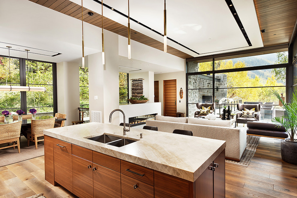 Aspen Modern - Modern - Living Room - Denver - by Kevin McManamon ...