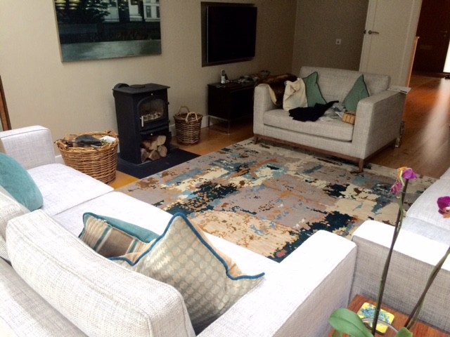 Barrogate Road - Modern - Living Room - London - by Fleur Ward Interior ...
