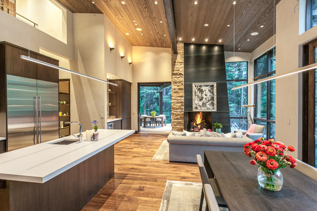 Beaver Dam Residence - Rustic - Living Room - Denver - by Berglund ...