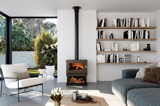 Blaze 900 - Living Room - Sydney - by The Company Of Fire | Houzz