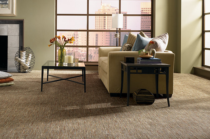 Capsilon by Karastan - Contemporary - Living Room - Detroit - by ...