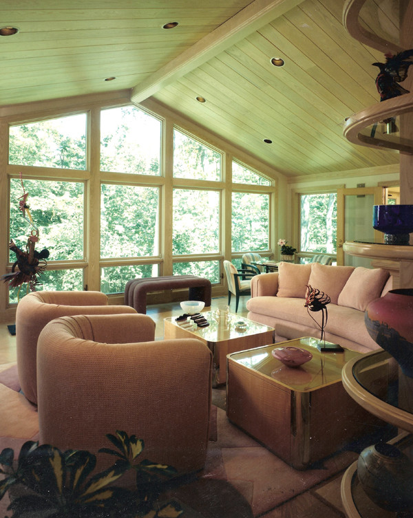 Ceilings - Contemporary - Living Room - Chicago - by allan j grant and ...