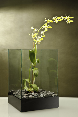 Cell - Contemporary - Living Room - Toronto - by Decorpro | Houzz