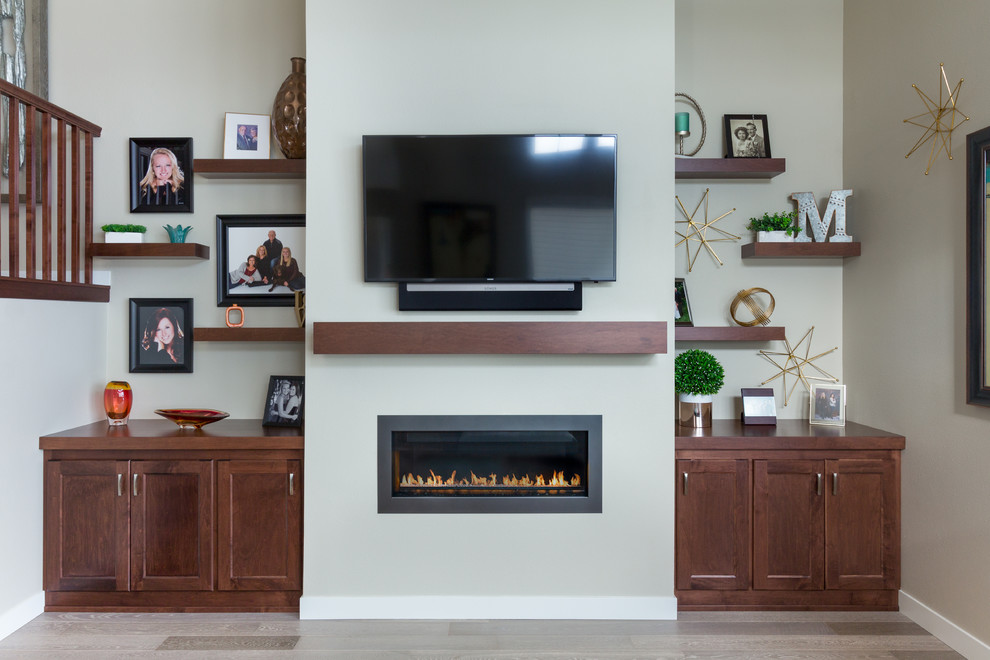 Chelsea Cabinets - Traditional - Living Room - Minneapolis - by Panache ...