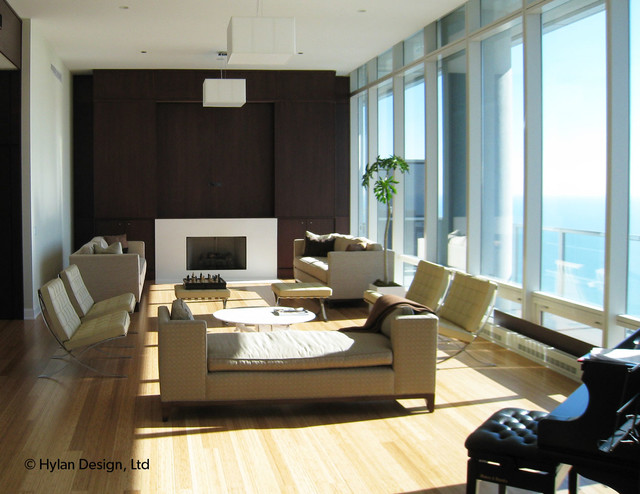 Chicago Fireplace Wall - Modern - Living Room - Chicago - by Hylan ...