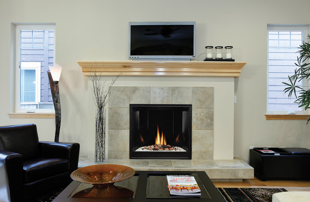 Contemporary Living with Square Fireplace - White Mountain Hearth ...