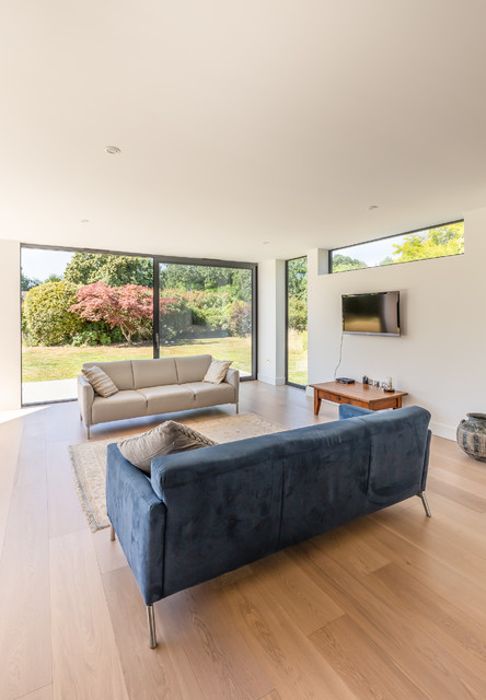 Contemporary Timber Clad Side Extension - Contemporary - Living Room ...