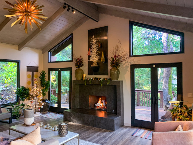 Contemporary Treehouse Living Room - Contemporary - Living Room - San ...