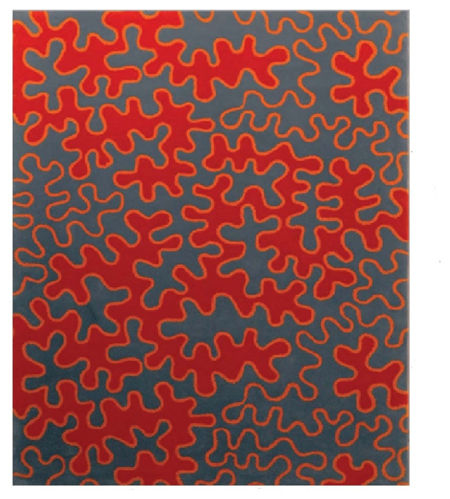 Coralle Area Rug, Dellarobbia - Modern - Living Room - Boston - by IL ...