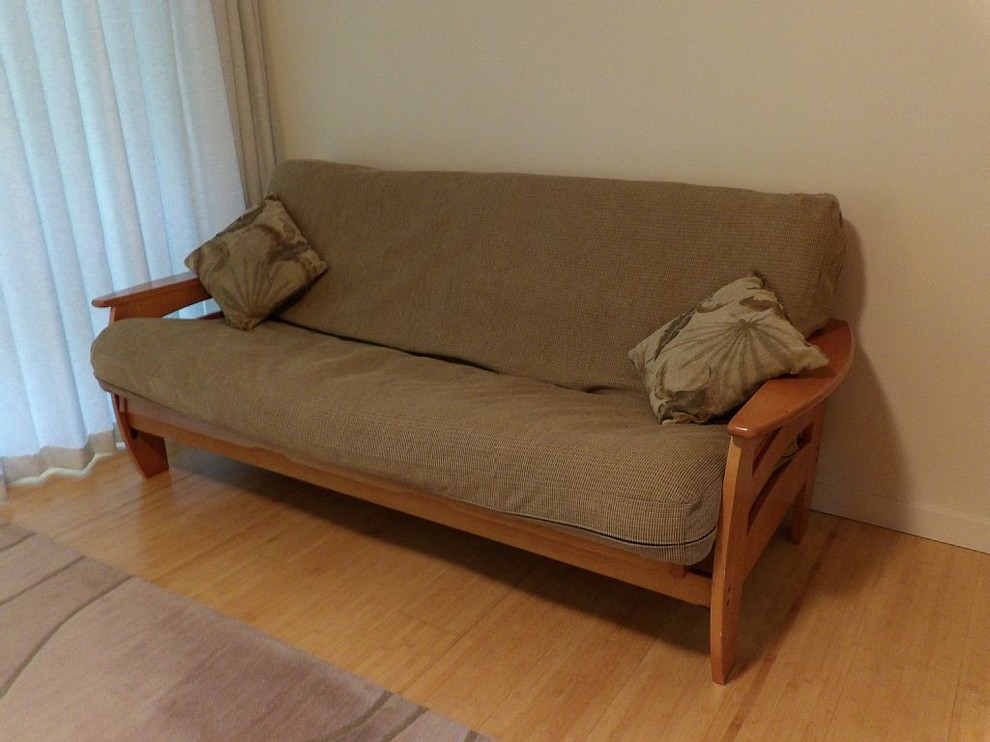 Corona Futon Frame & Decorating Ideas - Midcentury - Living Room - New ...