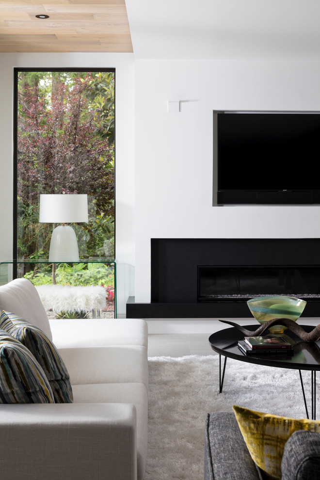 CRT Studio Northwind Project - Modern - Living Room - Orlando - by ...