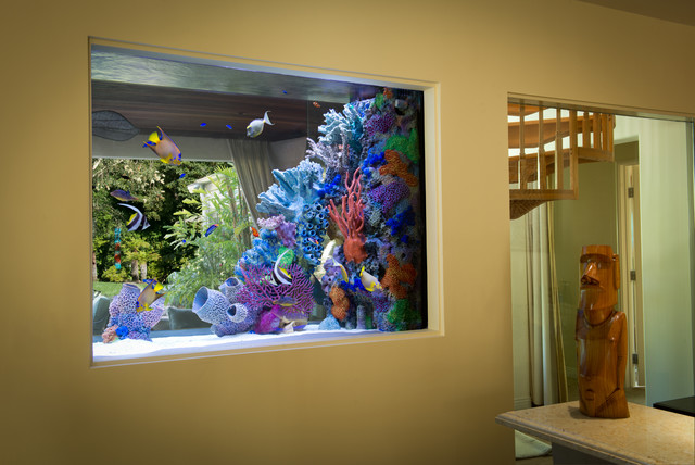 A Better Window - 275 gallons In-Wall Aquarium - Living Room - Los ...