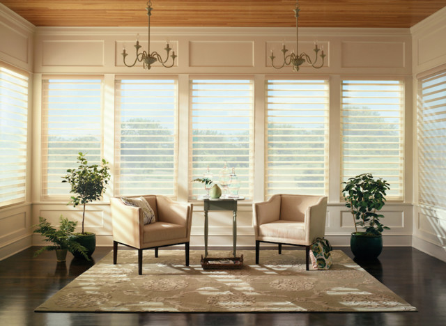 Custom Shades - Sheers and Shading - Transitional - Living Room ...