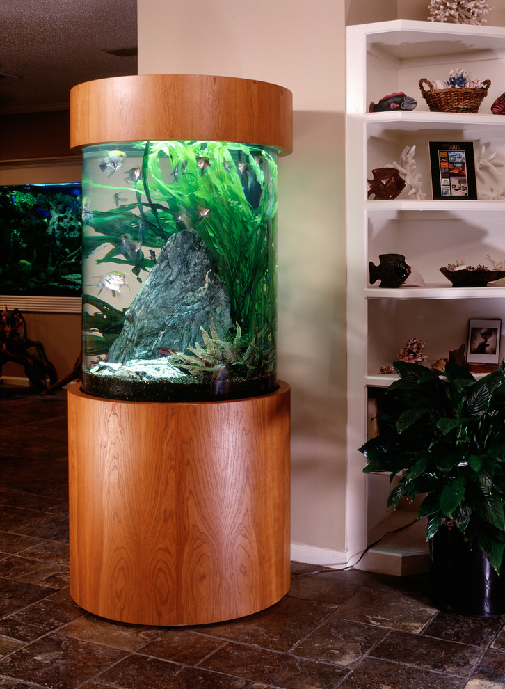 Cylinder Aquarium with Live Aquatic Plants - Eclettico - Soggiorno ...