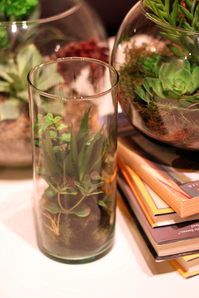 Cylinder Terrarium - Modern - Living Room - Milwaukee - by Willard ...