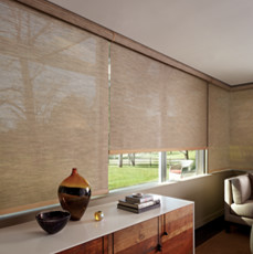 Designer Screen Roller Shades with Cassette Head Rail - Transitional ...