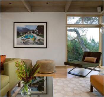 Diane Einstein Interiors - Contemporary - Living Room - San Francisco ...