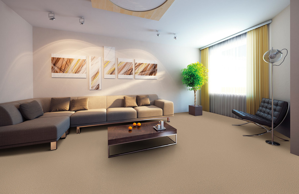 Dixie Home - Modern - Living Room - Austin - by Floor King | Houzz