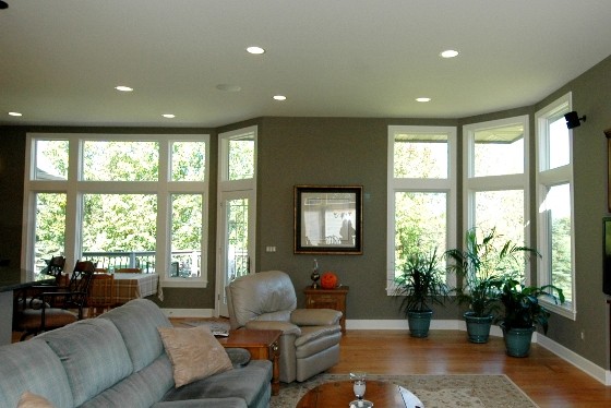 Doors & Windows - Traditional - Living Room - Detroit - by Wilderness ...
