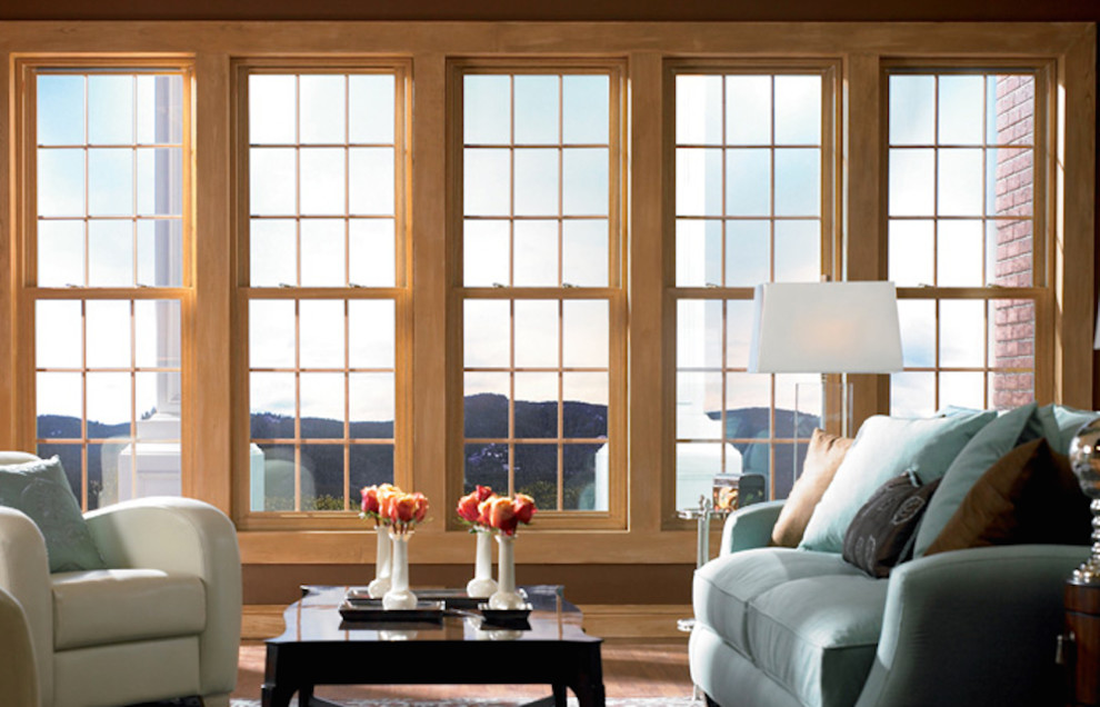 Double Hung Windows - Traditional - Living Room - Raleigh - by ...