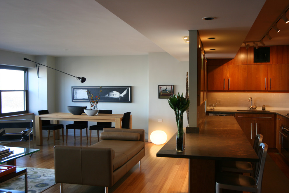 Dropped ceiling creates architectural transition between kitchen and ...