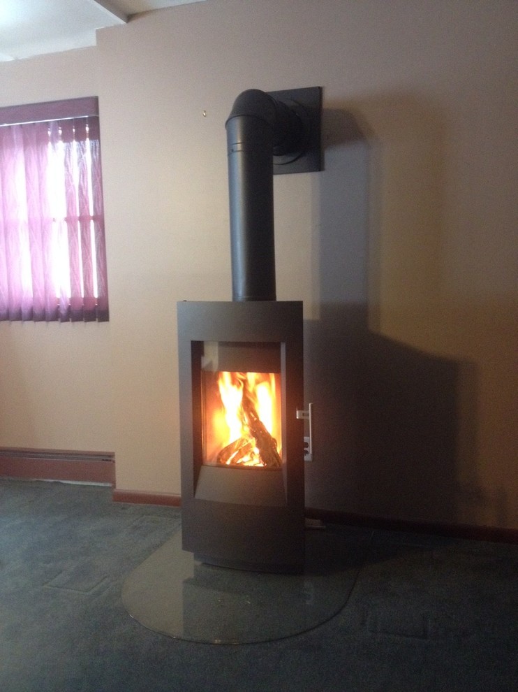 European - Modern - Living Room - New York - by KJB FIREPLACES | Houzz