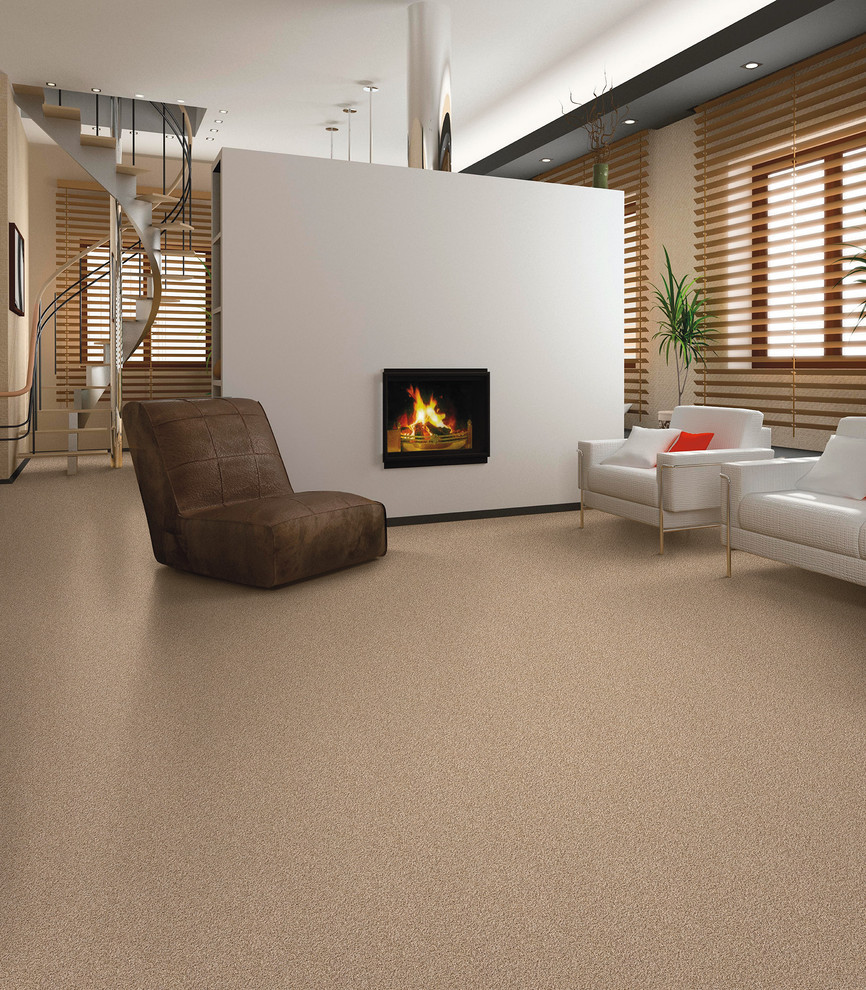 Eye-Catching Carpets! - Modern - Living Room - Miami - by Brian Barnard ...