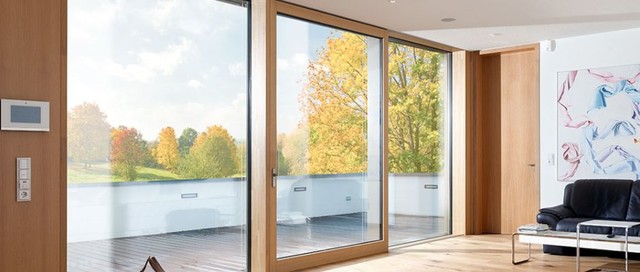 Fineline Curtain Wall System - Modern - Living Room - Chicago - by ...