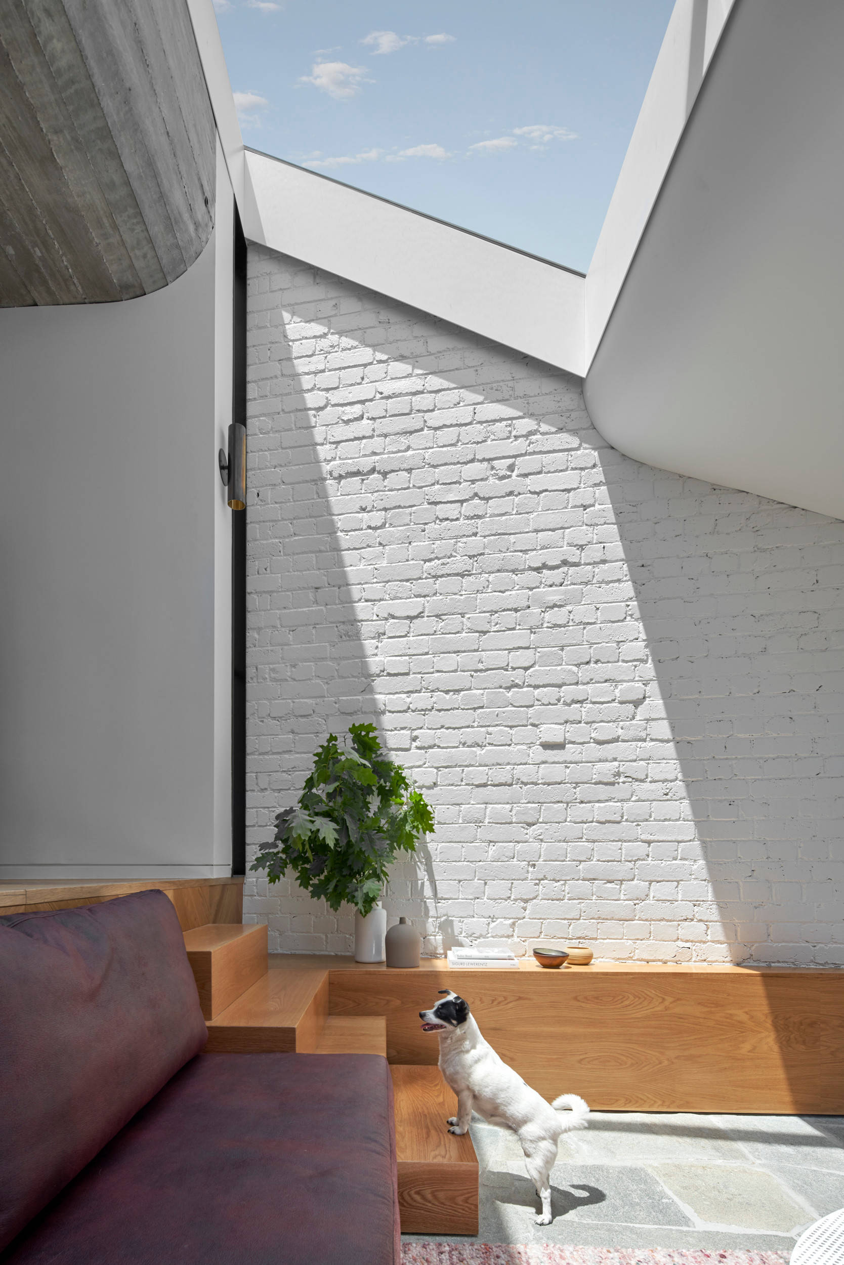 An Upside-Down Solution for a Skinny, Rundown Terrace | Houzz NZ
