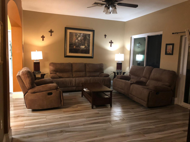 Furry friendly house - Traditional - Living Room - Tampa - by Hauz ...