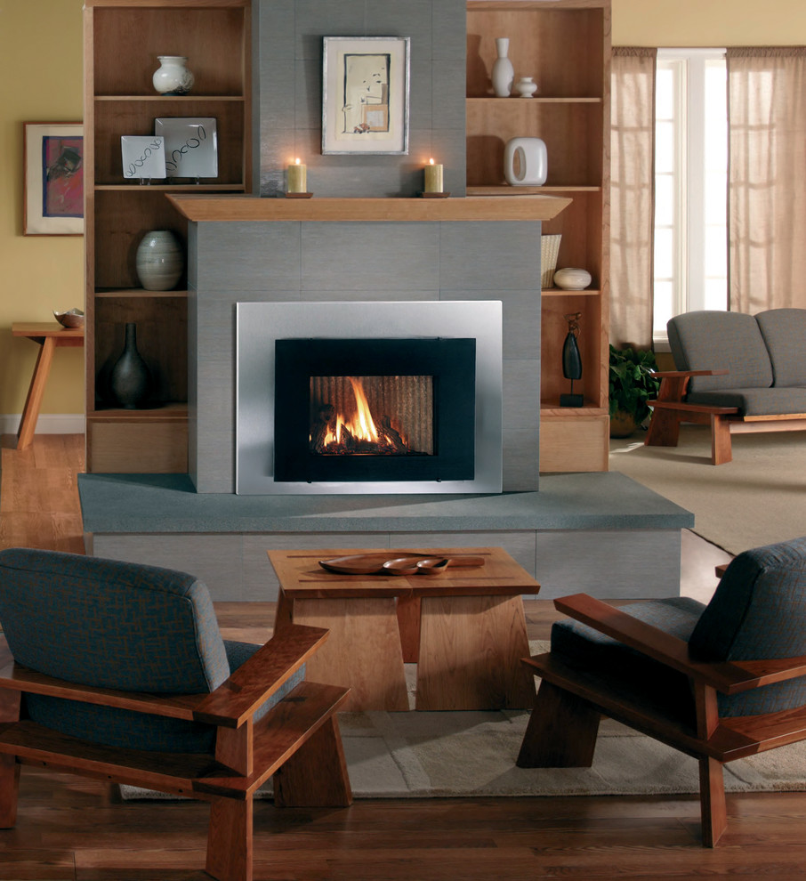 Gas Fireplace Inserts - Contemporary - Living Room - San Francisco - by ...