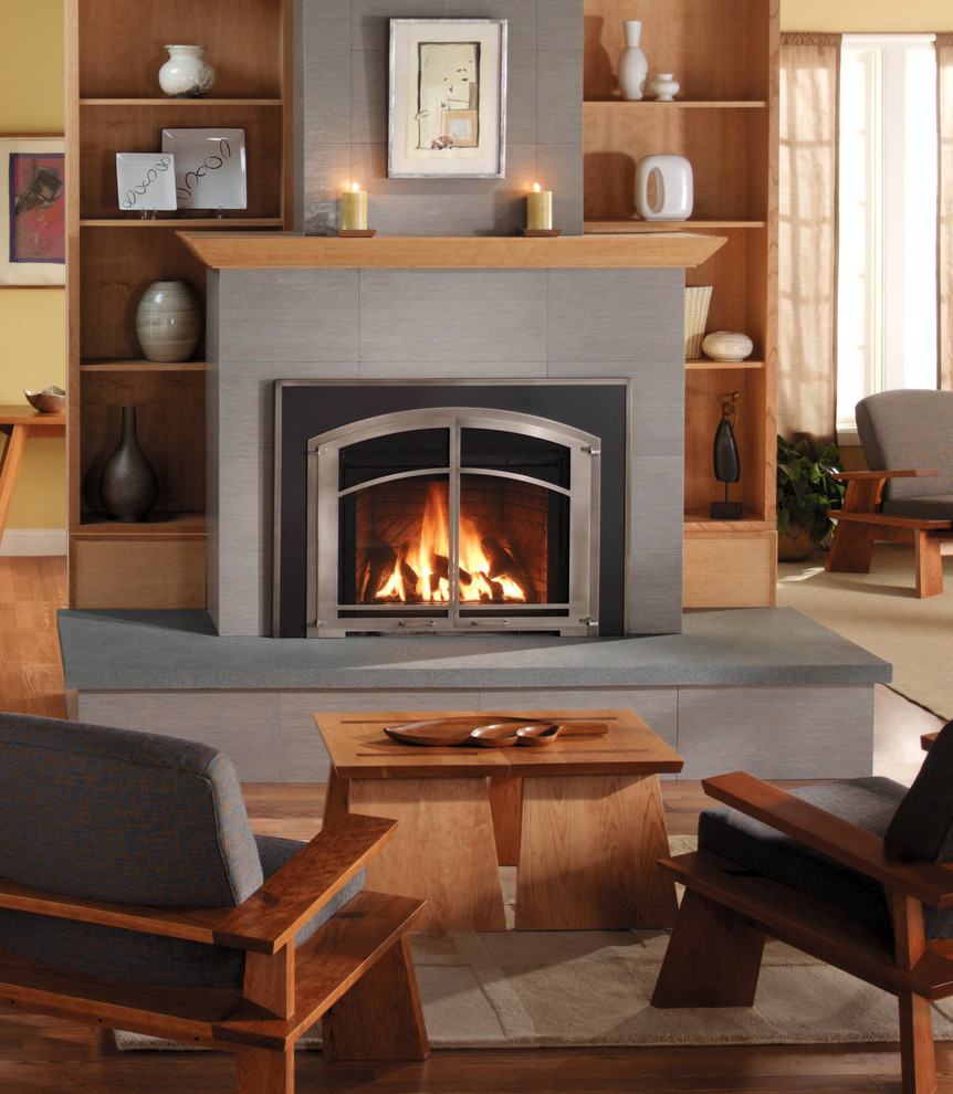 Gas Fireplace Inserts - Contemporary - Living Room - San Francisco - by ...