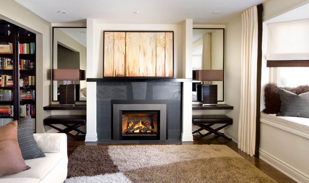 Gas Fireplace Inserts - Contemporary - Living Room - San Francisco - by ...