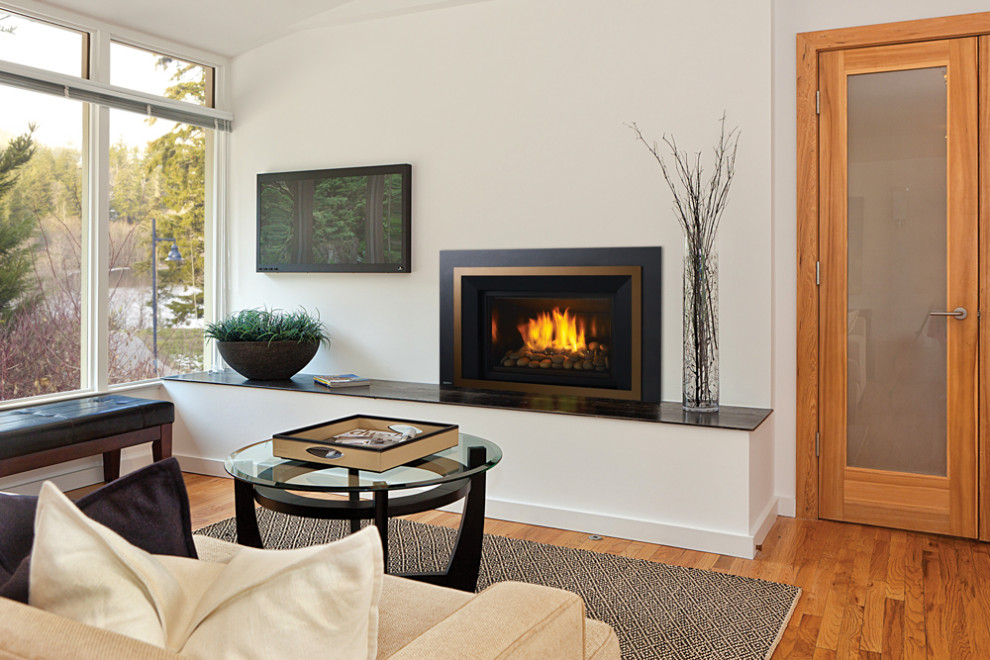 Gas Fireplace Inserts - Living Room - Other - by Regency Fireplace ...