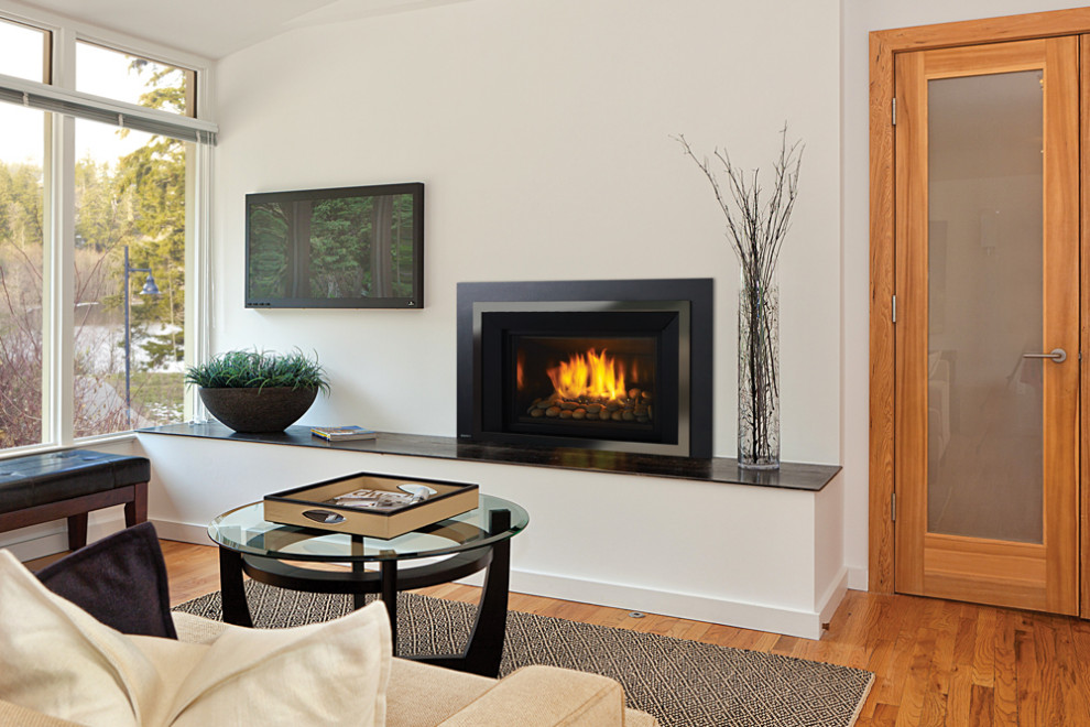 Gas Fireplace Inserts - Living Room - Other - by Regency Fireplace Products | Houzz