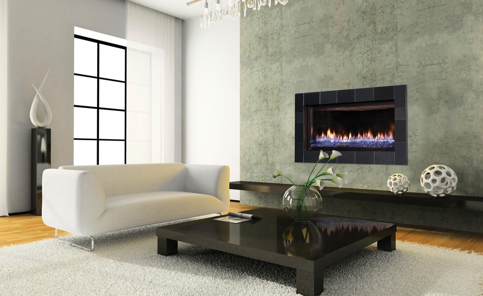 Gas Fireplaces - Modern - Living Room - Boston - by Woodstove ...