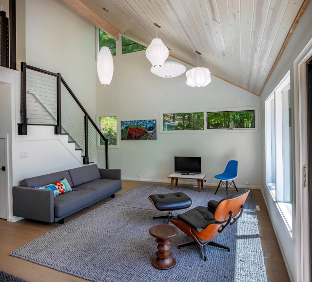 Hamlin Lake Cabin - Contemporary - Living Room - Grand Rapids - by ...