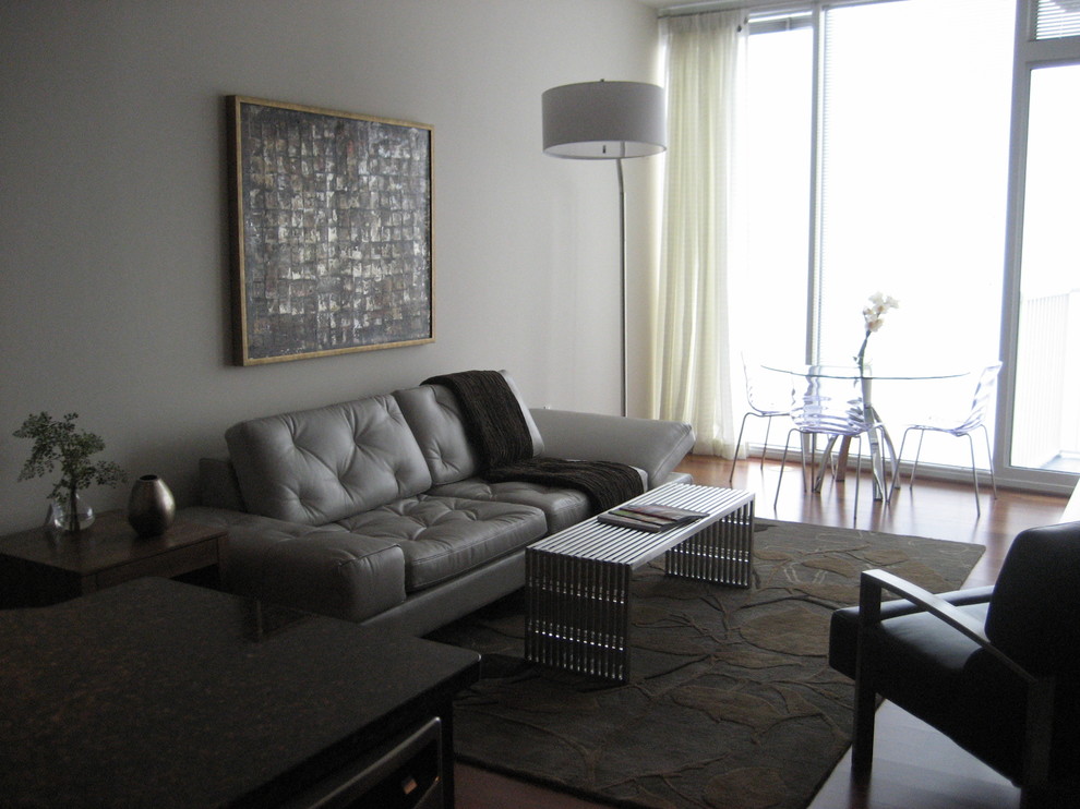 High-Rise Condo in Downtown Raleigh - Contemporary - Living Room ...