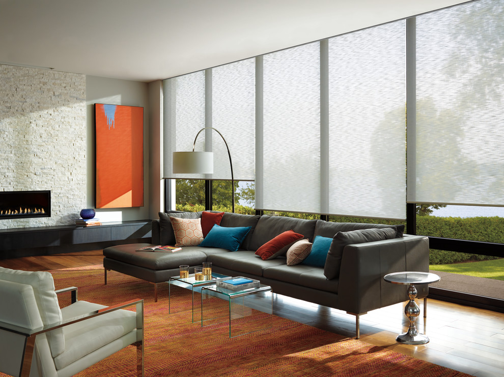 Hunter Douglas Designer Screen Shades - Contemporary - Living Room ...