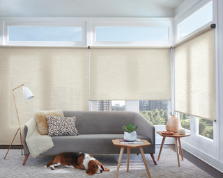 Hunter Douglas Designer Screen Shades - Midcentury - Living Room - New ...