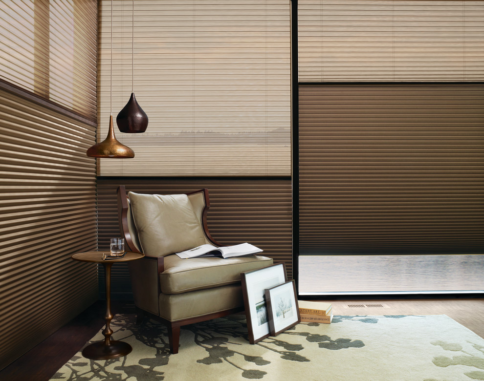 Hunter Douglas Duette DuoLite Honeycomb Shades - Transitional - Living ...