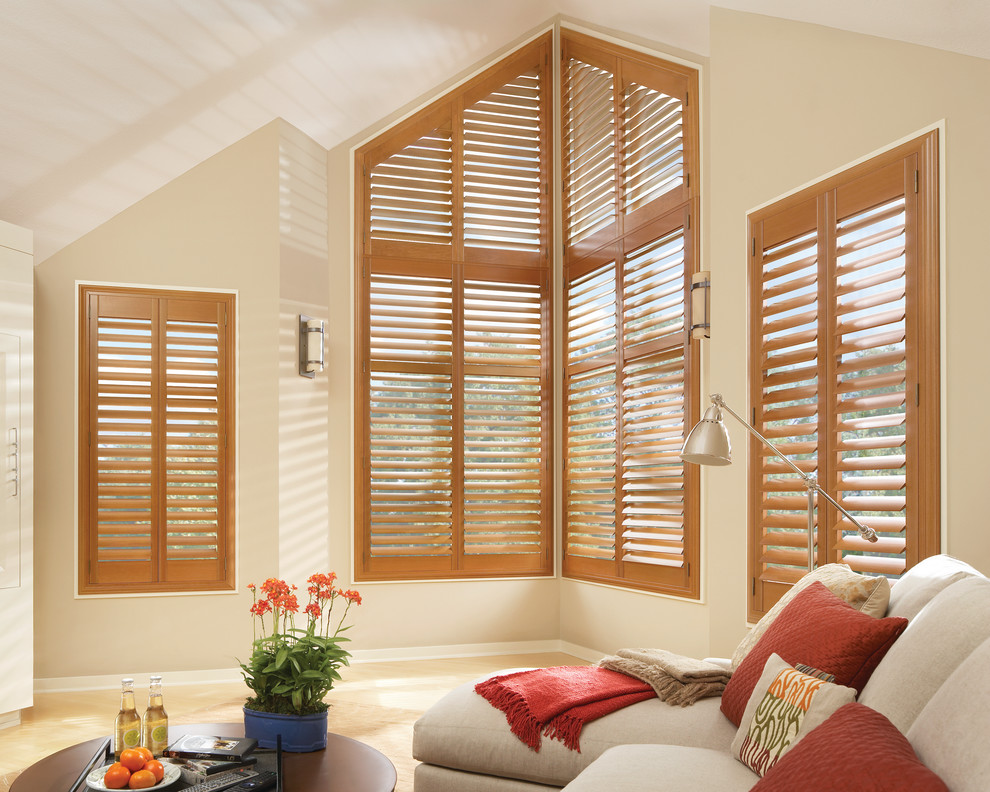 Hunter Douglas NewStyle™ Shutters - Traditional - Living Room - St ...