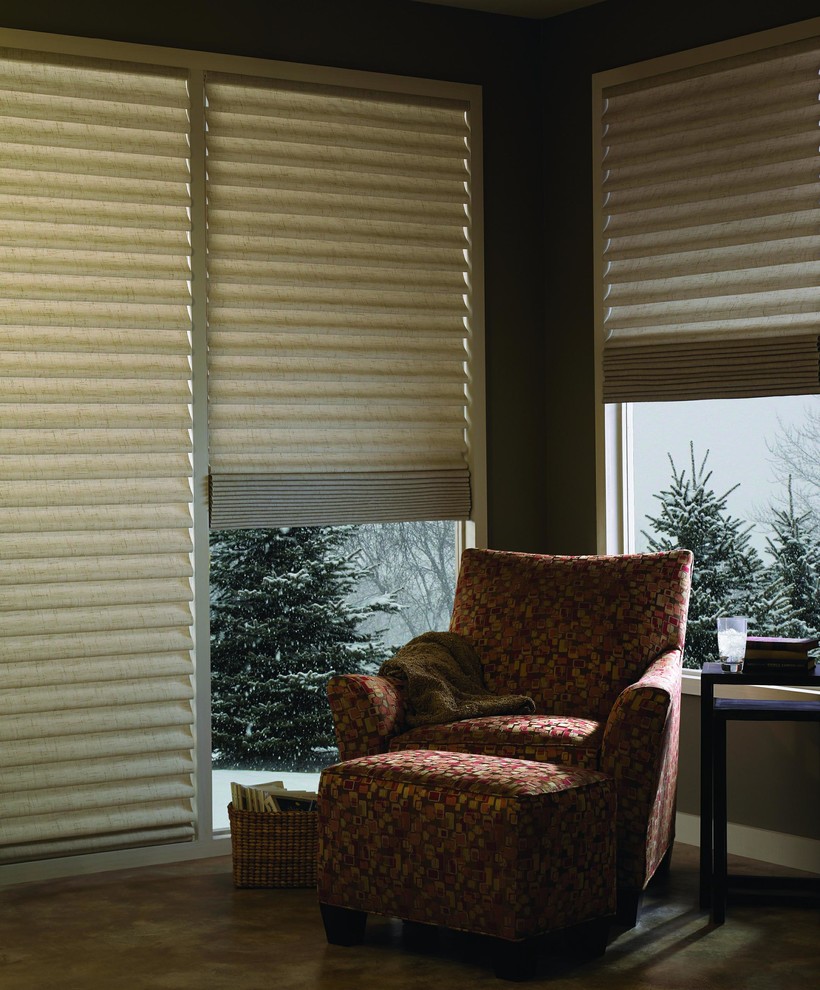Hunter Douglas Vignette Shades - Transitional - Living Room ...